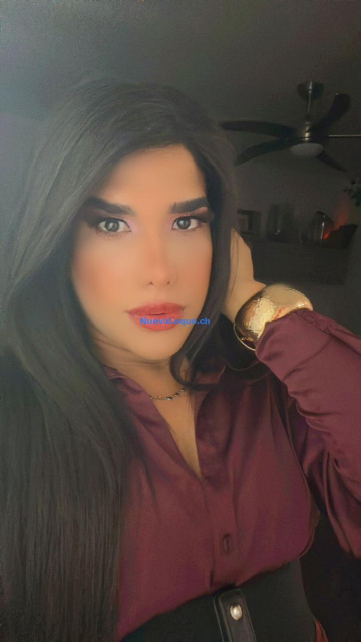 Nuevo Loquo - Trans XL con fotos REALES